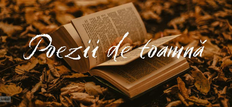 Poezii de toamnă - versuri clasice, pentru copii si pentru nostalgici – Stefania Sarina
